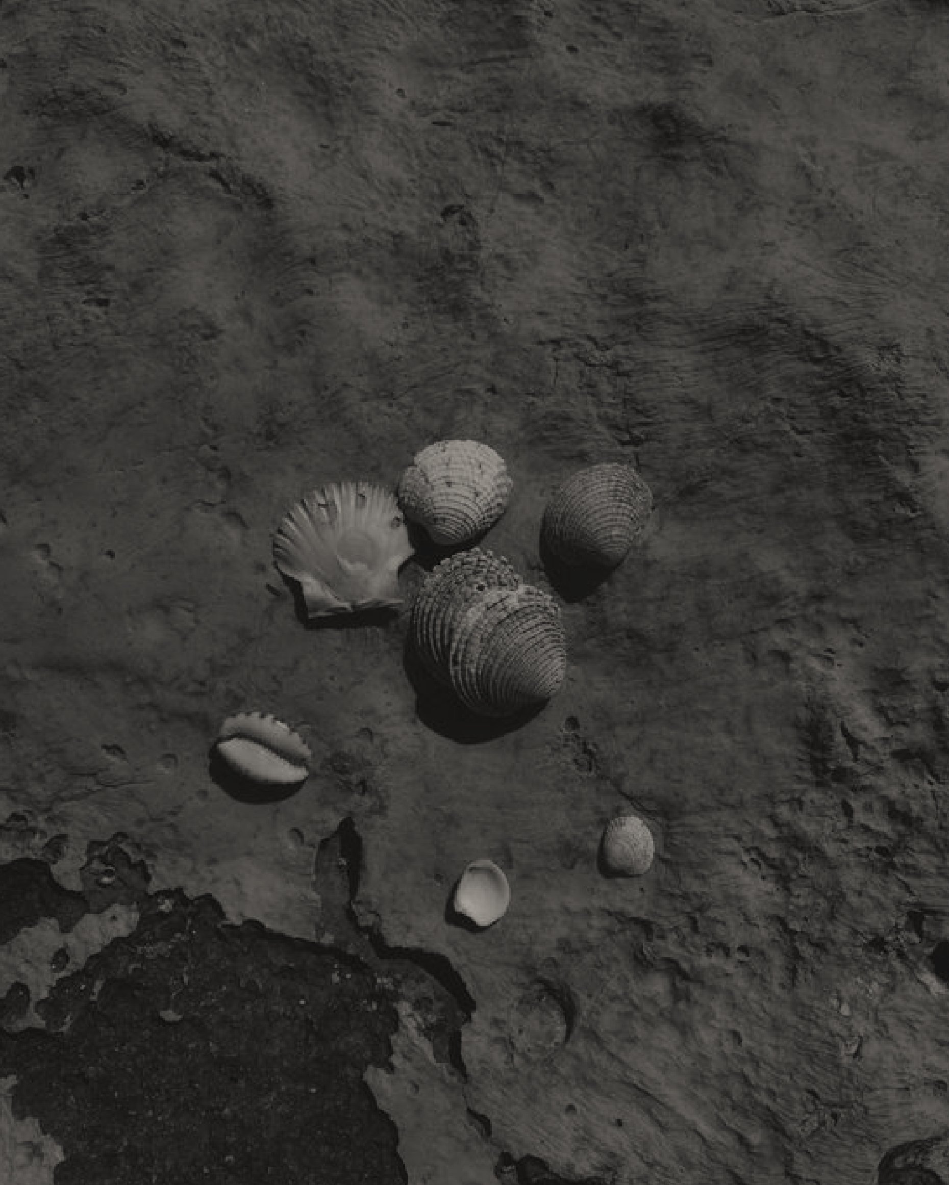 RRS Eyes - Body & Face Clinic