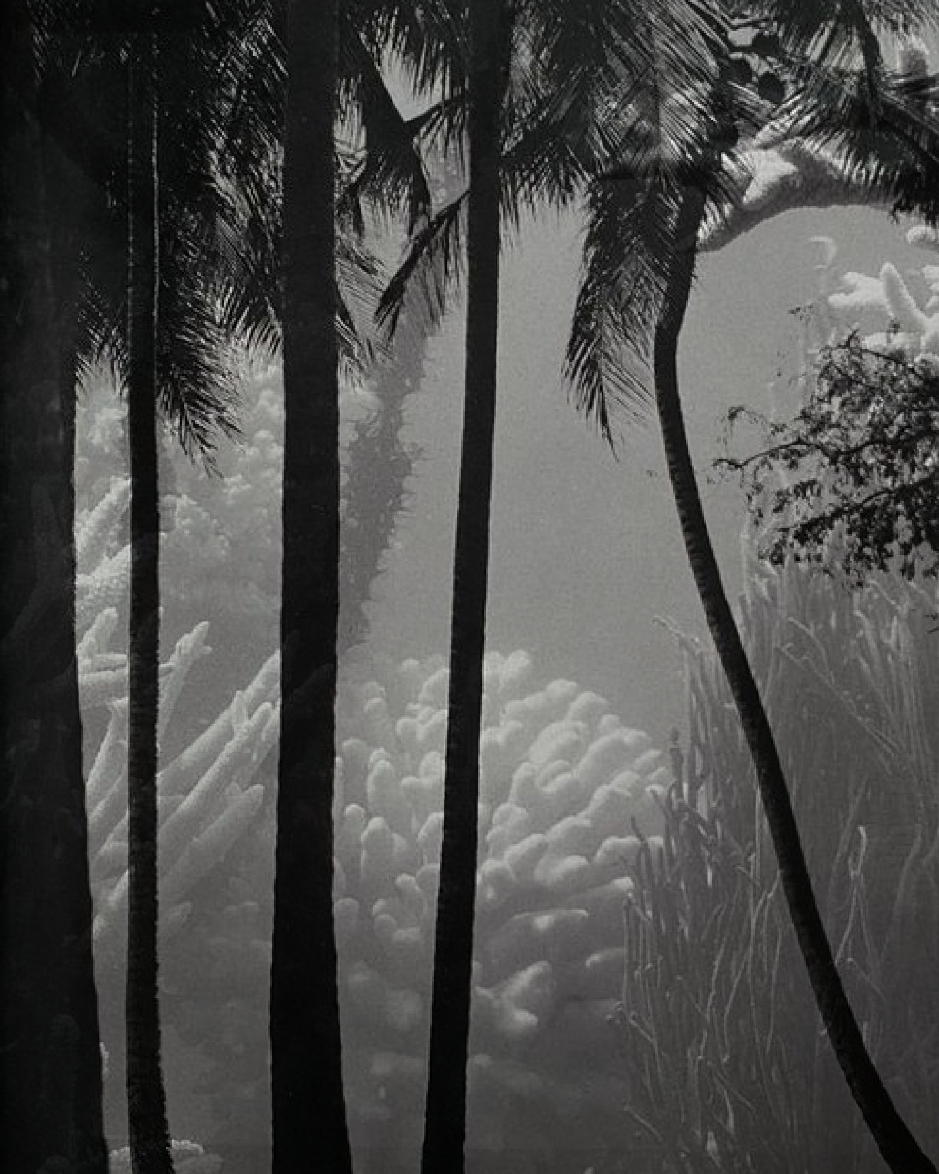 TCA Cross - Body & Face Clinic